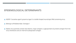 Rabies ppt. Definition, clinical features, epidemiology, treatment | PPTX