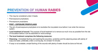 Rabies | PPT