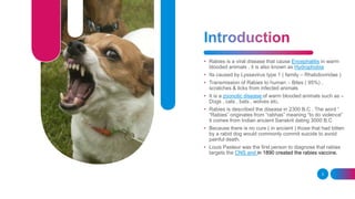 Rabies | PPTX
