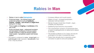 Rabies | PPT