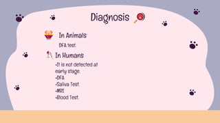 Rabies ,a deadly viral disease transmitted by the most beautiful beings ...