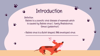 Rabies ,a deadly viral disease transmitted by the most beautiful beings ...