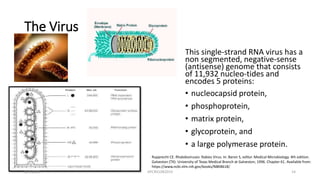 Rabies ppt epidemiology | PPTX