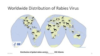 Rabies ppt epidemiology | PPTX