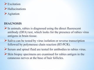 Rabies case Study | PPTX