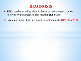 Rabies case Study | PPT