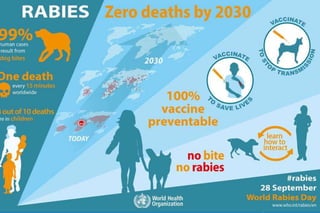 Rabies ppt rajesh | PPT