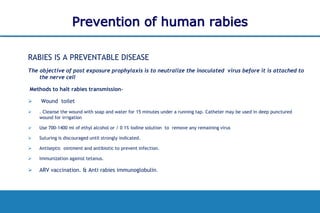 Rabies ppt rajesh | PPT