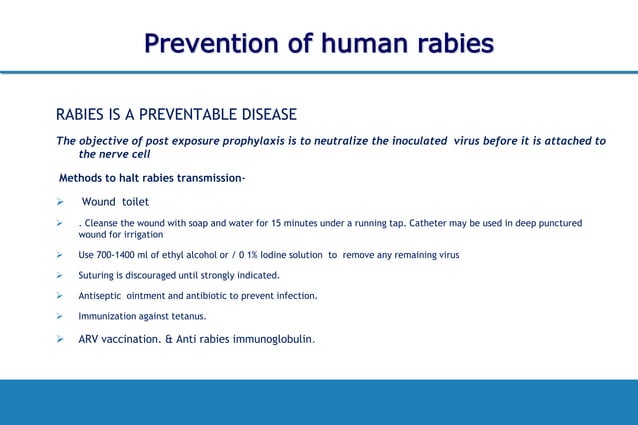 Rabies ppt rajesh | PPT