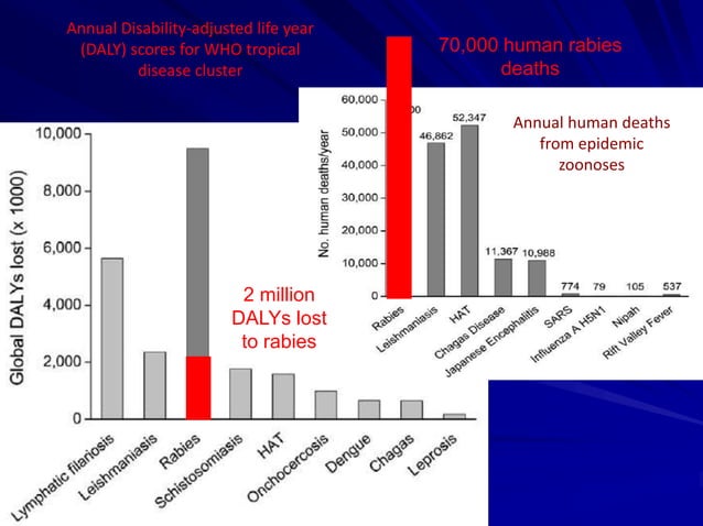 INFEKSI RABIES_Pre-Exposureprophylaxis.ppt