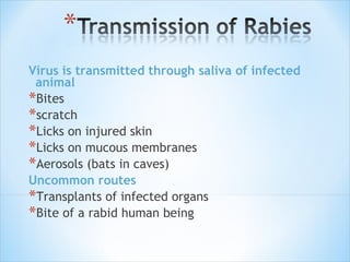 Rabies presentation | PPT