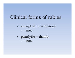 Rabies presentation | PPT