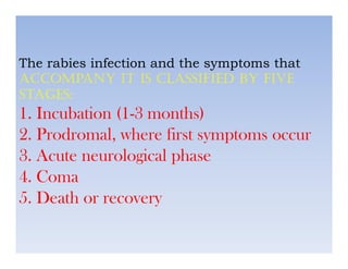 Rabies presentation | PPT
