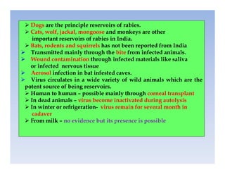 Rabies presentation | PPT