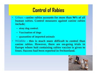 Rabies presentation | PPT