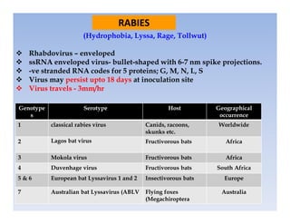 Rabies presentation | PPT