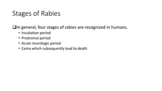 Rabies | PPT