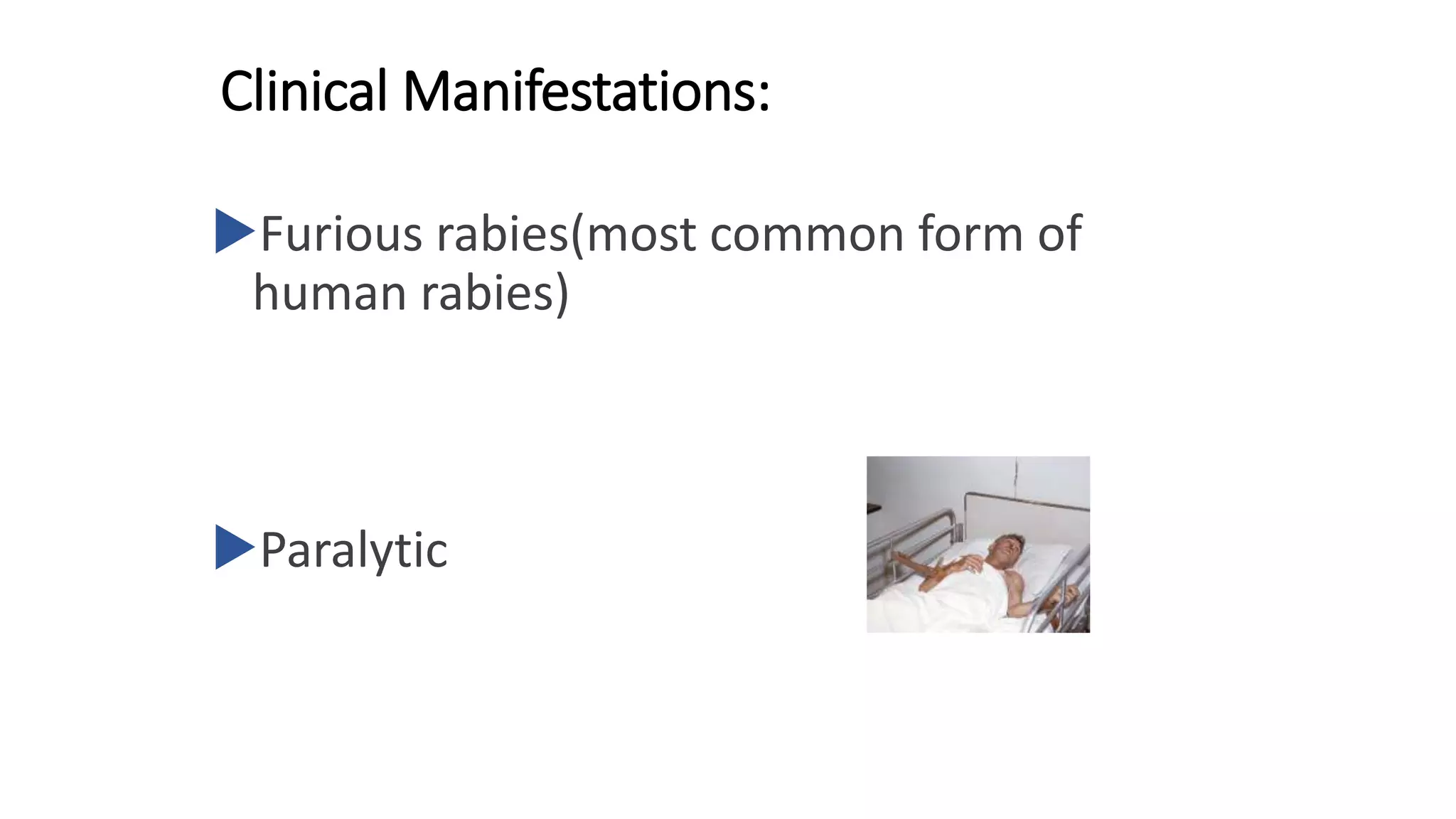 Rabies presentation for medical undergraduate students | PPTX