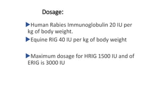 Rabies presentation for medical undergraduate students | PPTX