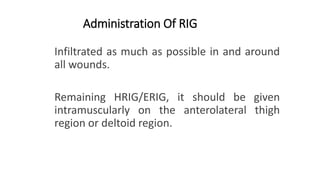 Rabies presentation for medical undergraduate students | PPTX