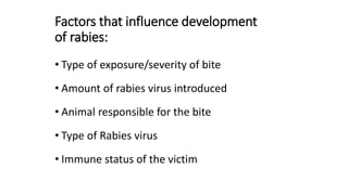 Rabies presentation for medical undergraduate students | PPTX