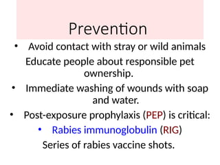 Rabies Presentation By Ayesha Irshad.pptx pharmacy department | PPTX