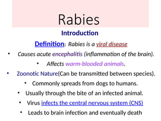 Rabies Presentation By Ayesha Irshad.pptx pharmacy department | PPTX