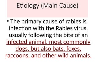 Rabies Presentation By Ayesha Irshad.pptx pharmacy department | PPTX