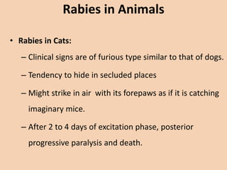 Rabies Presentation Dr. V. V. Limaye JC DIS PUNE.ppt