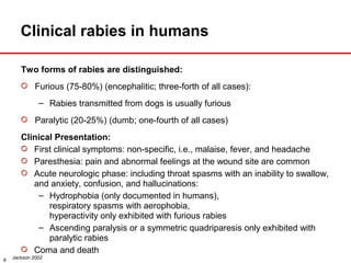 Rabies prevention | PPT | Infectious Diseases | Diseases and Conditions
