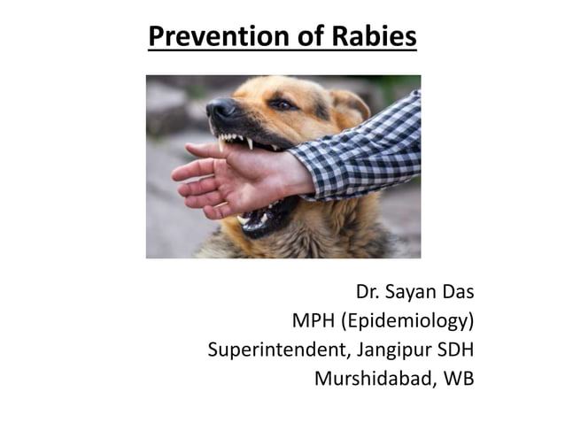 Rabies prevention | PPT | First Aid | Injuries