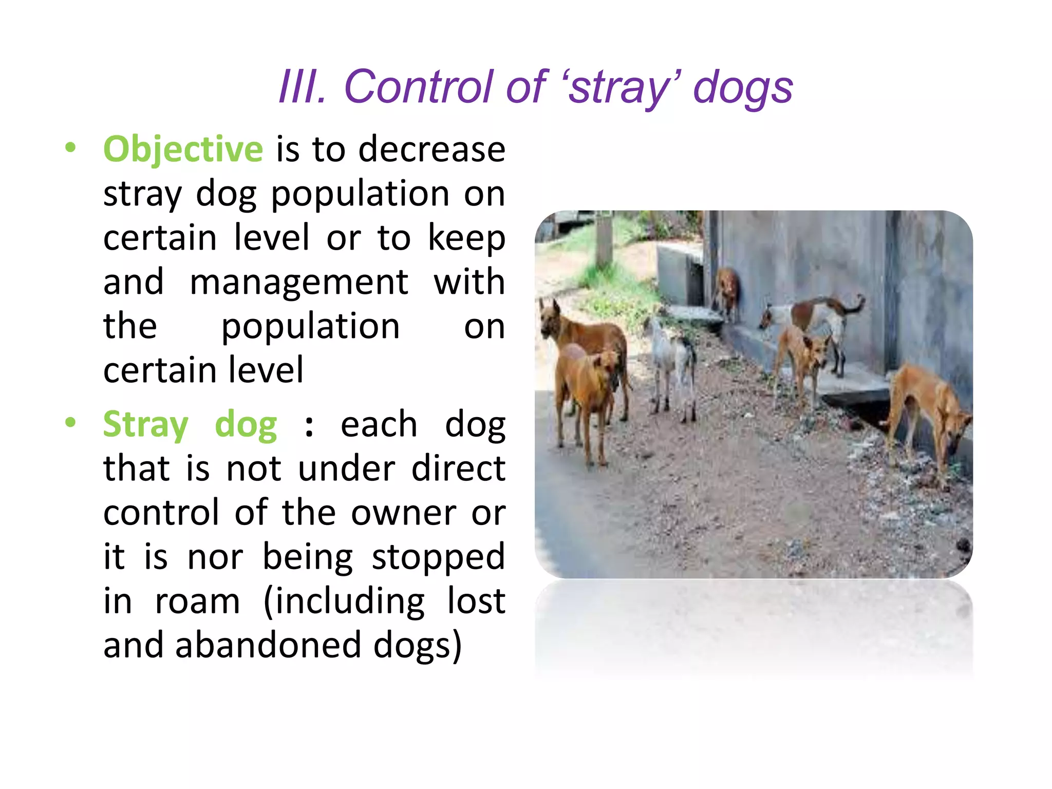 Rabies prevention and control | PPTX