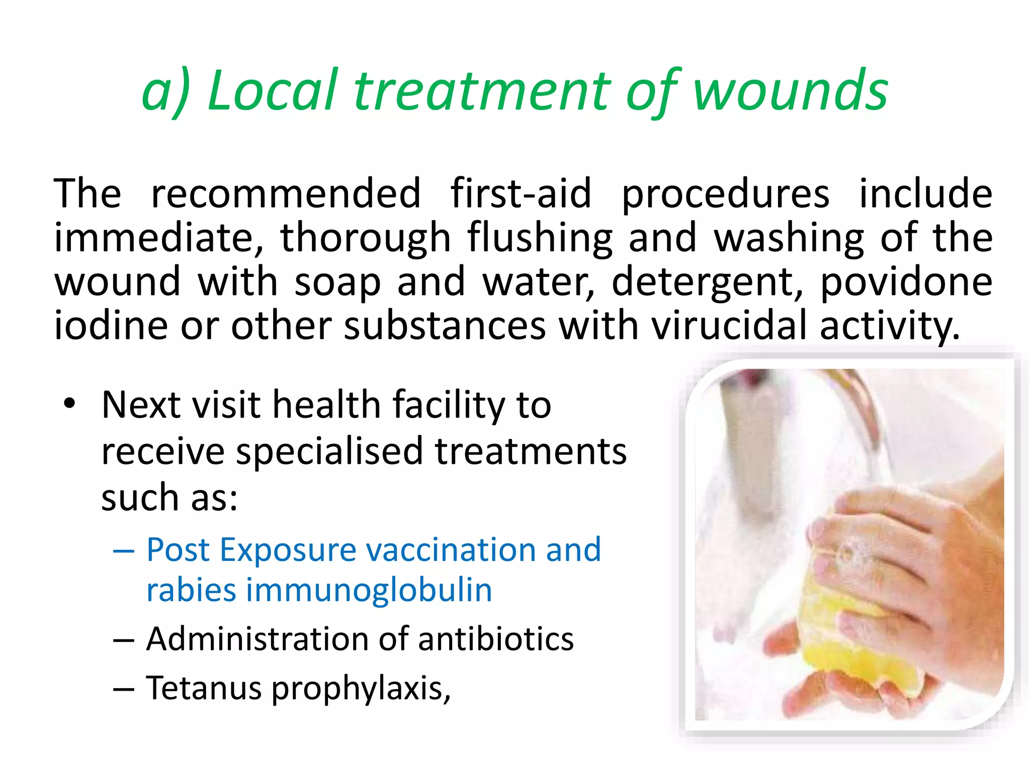 Rabies prevention and control | PPTX