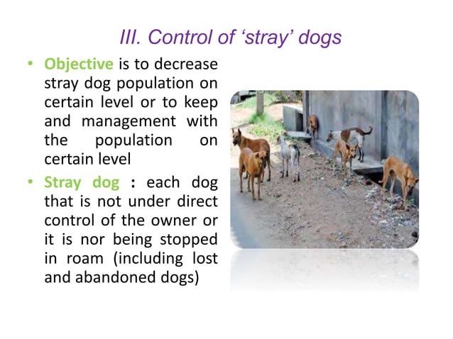 Rabies prevention and control | PPTX