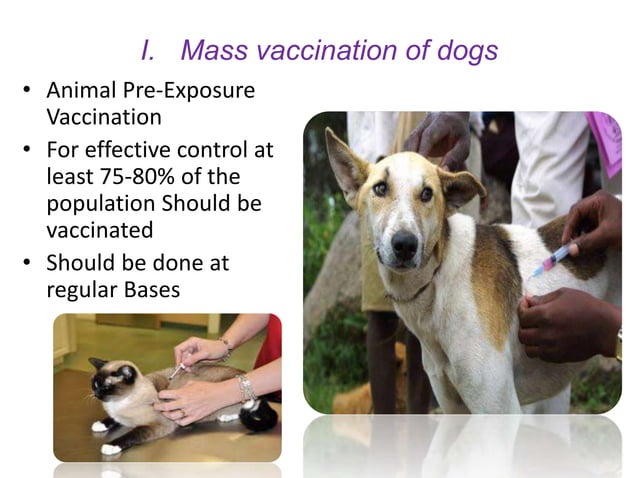 Rabies prevention and control | PPTX
