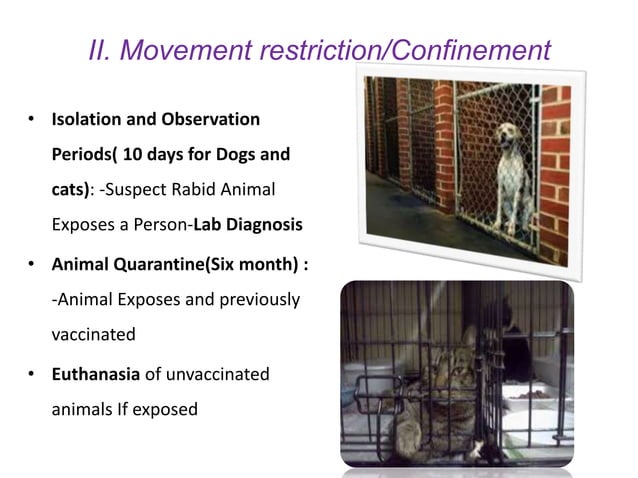 Rabies prevention and control | PPTX