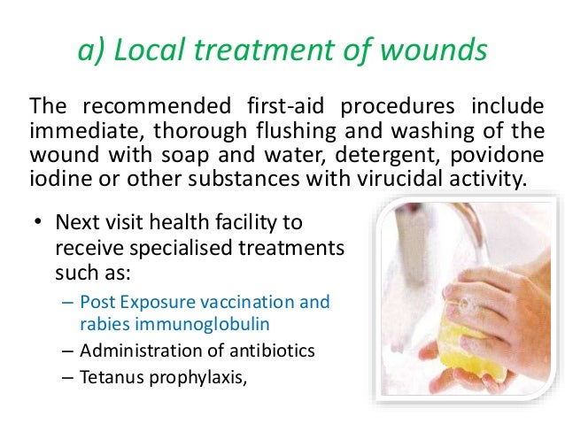 Rabies prevention and control