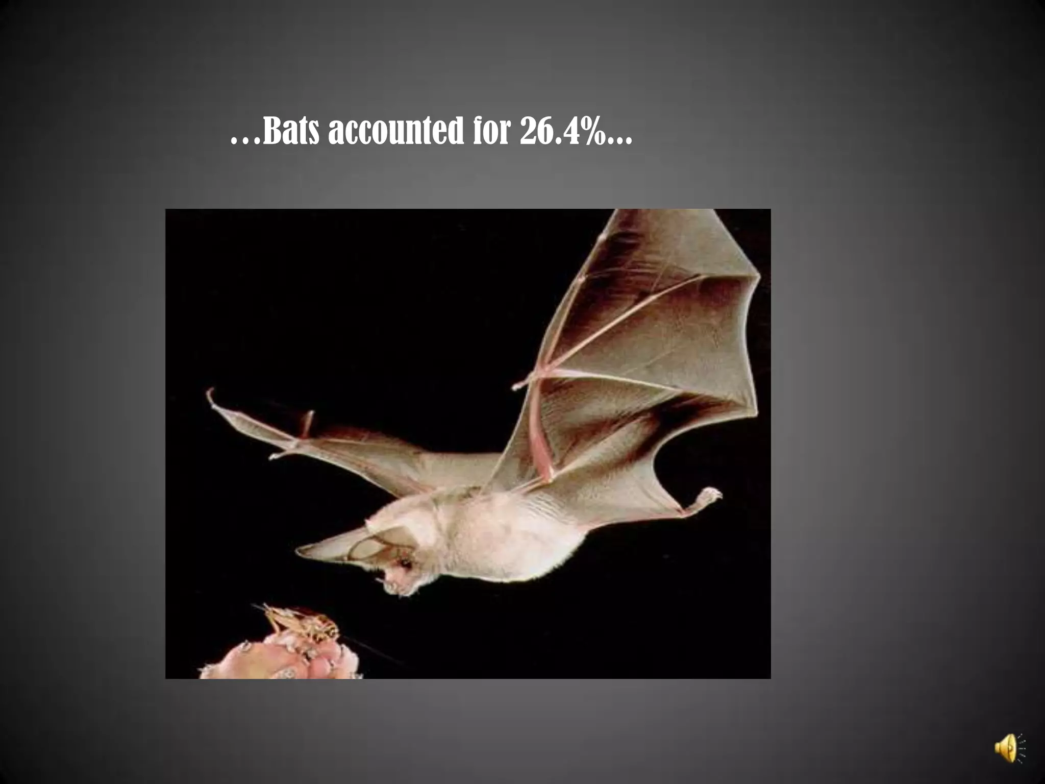 Rabies project | PPT