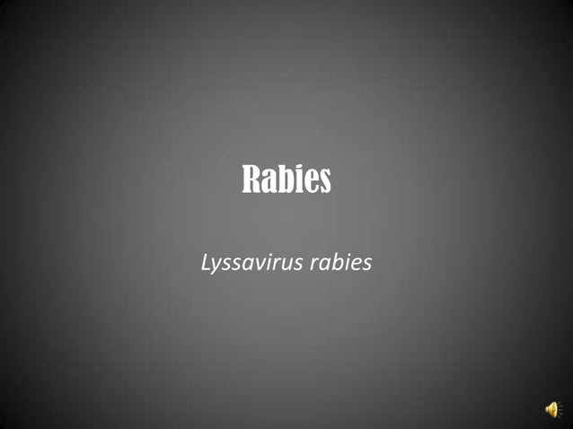 Rabies project | PPT