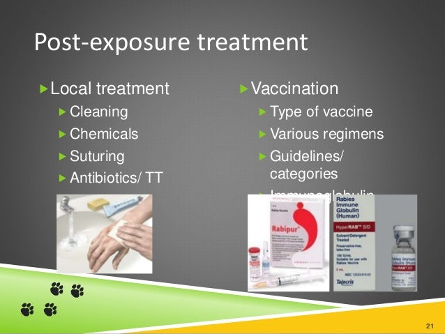 Rabies - a public health view