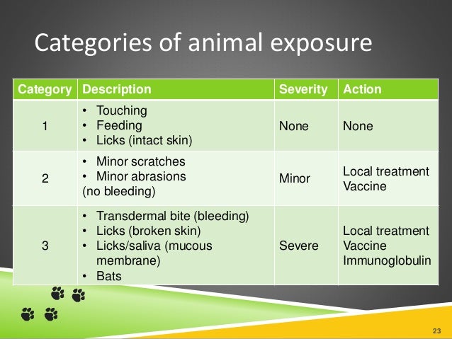 Rabies - a public health view