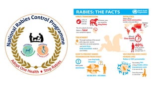 Rabies: 100% Fatal but 100% Preventable Disease | PPTX