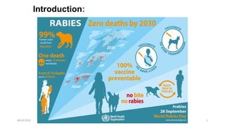 Rabies: 100% Fatal but 100% Preventable Disease | PPTX