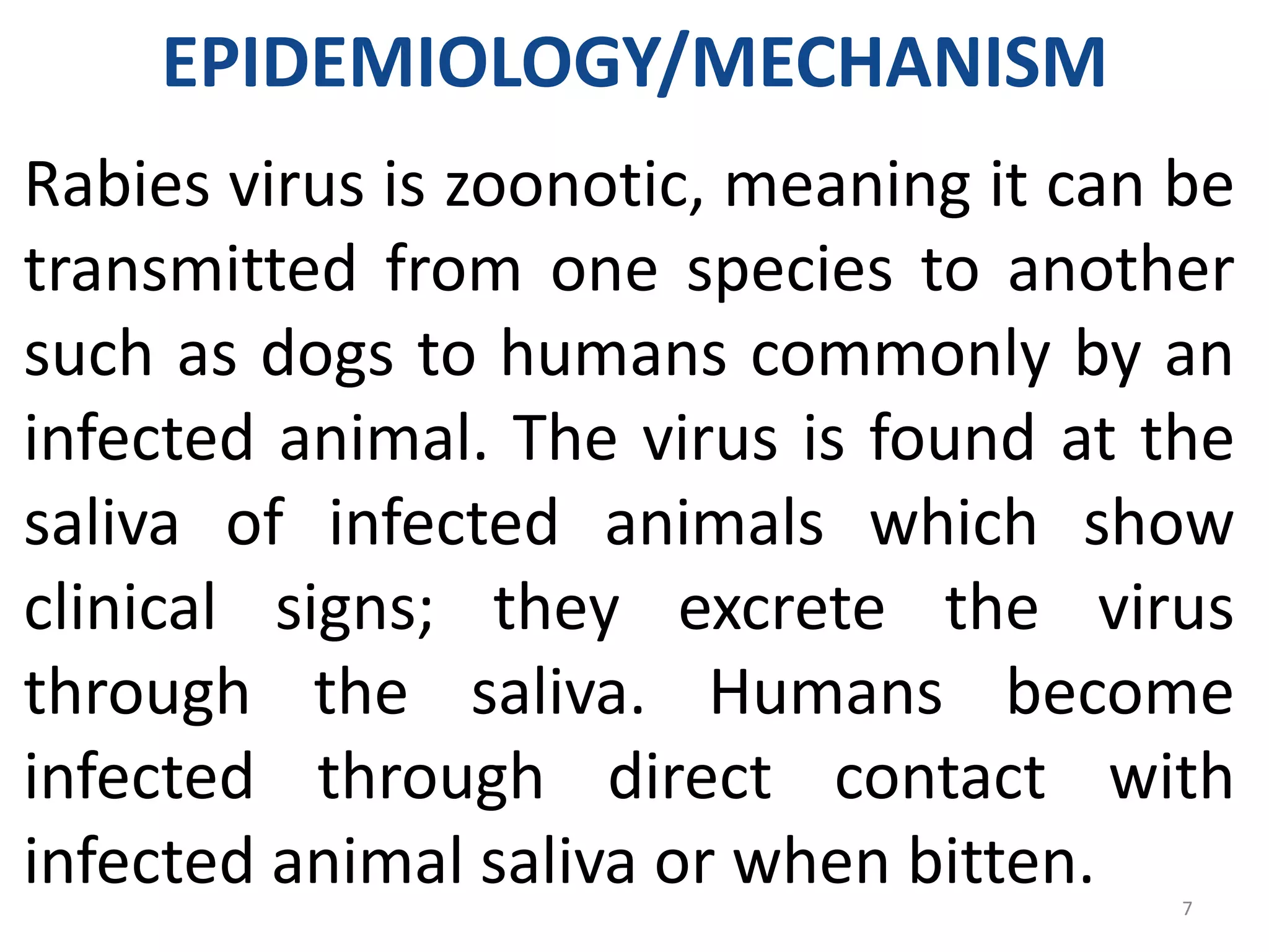 Rabies by martin Uwamose | PPTX