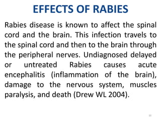 Rabies by martin Uwamose | PPT