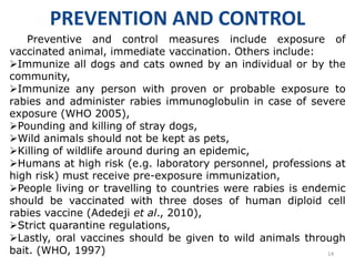 Rabies by martin Uwamose | PPT