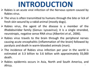 Rabies by martin Uwamose | PPT