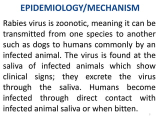 Rabies by martin Uwamose | PPT