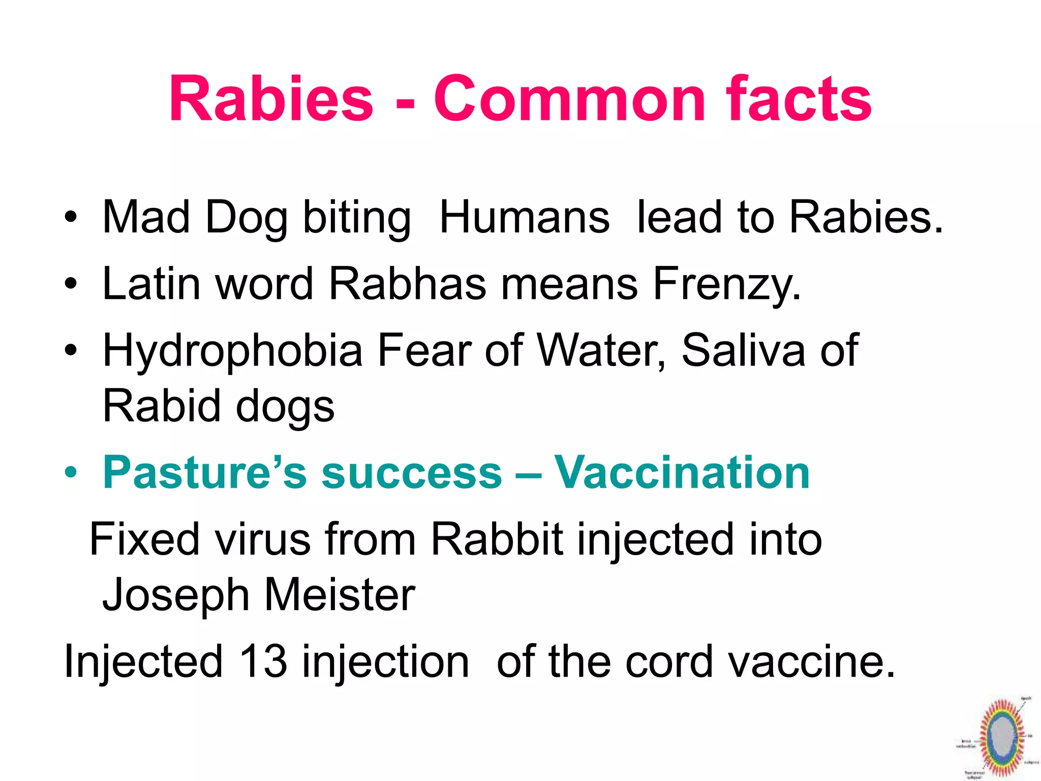 World Rabies Day 2023 Dr.T.V.Rao MD | PPT