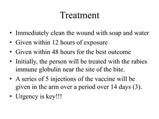 Rabies t thaxton | PPTX